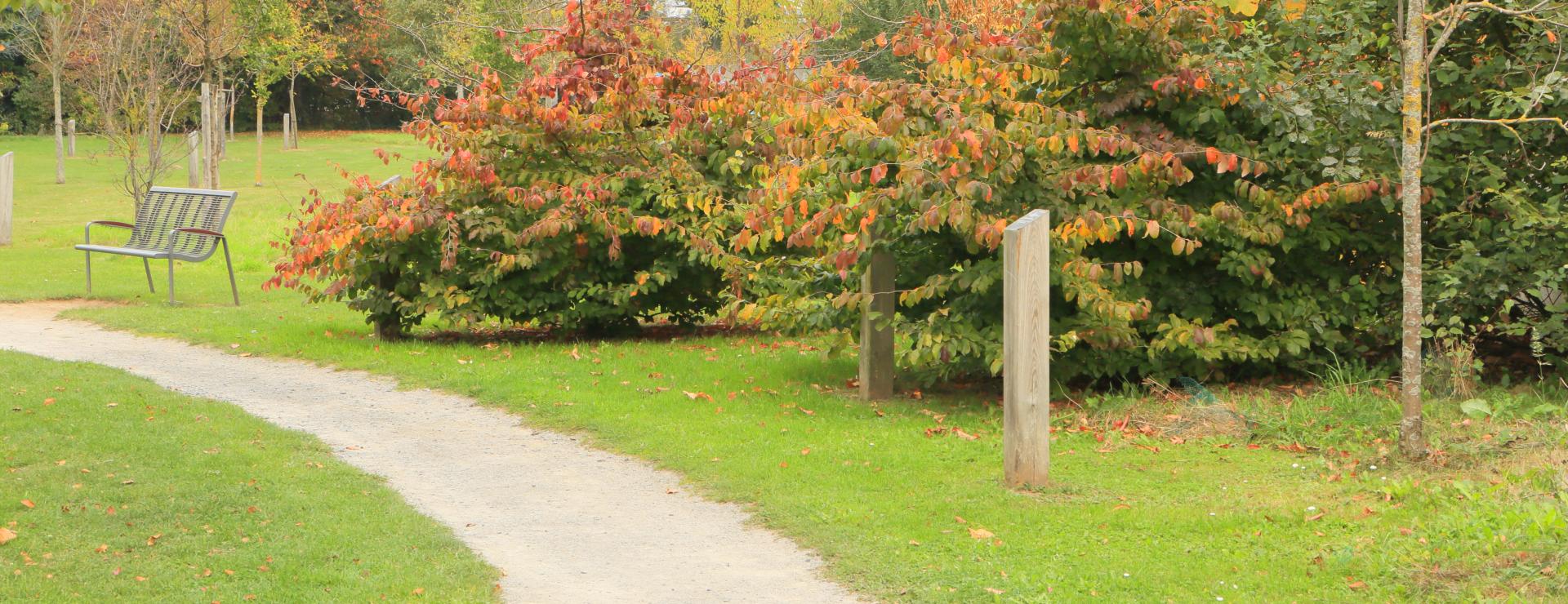 Page d'accueil | Ville de Ronchin