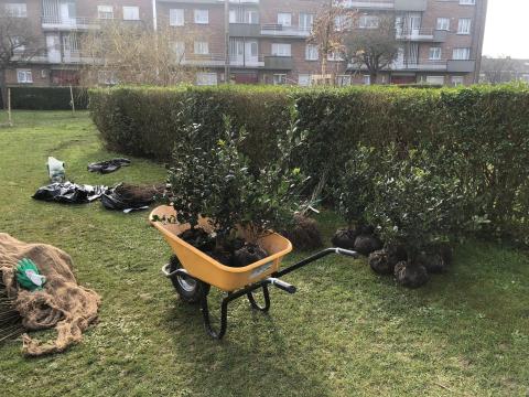 Une ville plus verte | Ville de Ronchin